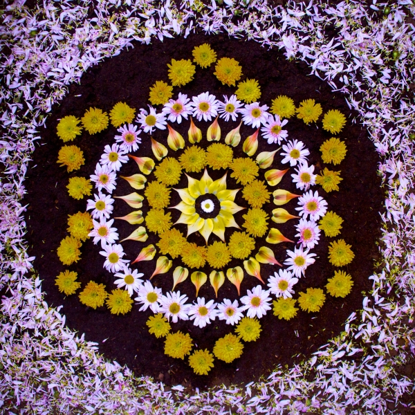 Mandalas de Flores e Plantas - Terra Cotta Flores